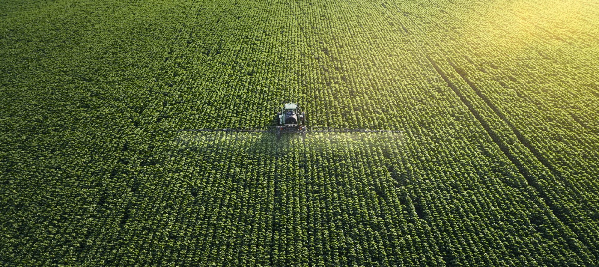 Insecticide 🌾 Agricrops